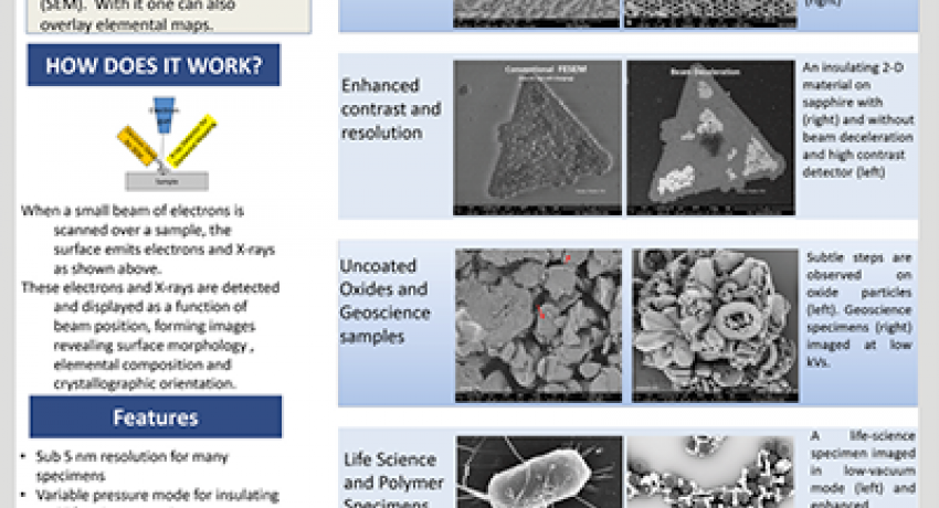 Scanning Electron Microscopy | Materials Research Institute Scanning Electron Microscopy | Materials Research Institute